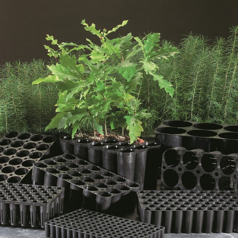 Tree Seedling Nursery Containers - Stuewe & Sons