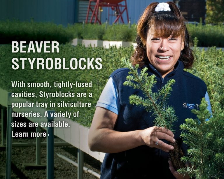 Tree Seedling Nursery Containers - Stuewe & Sons