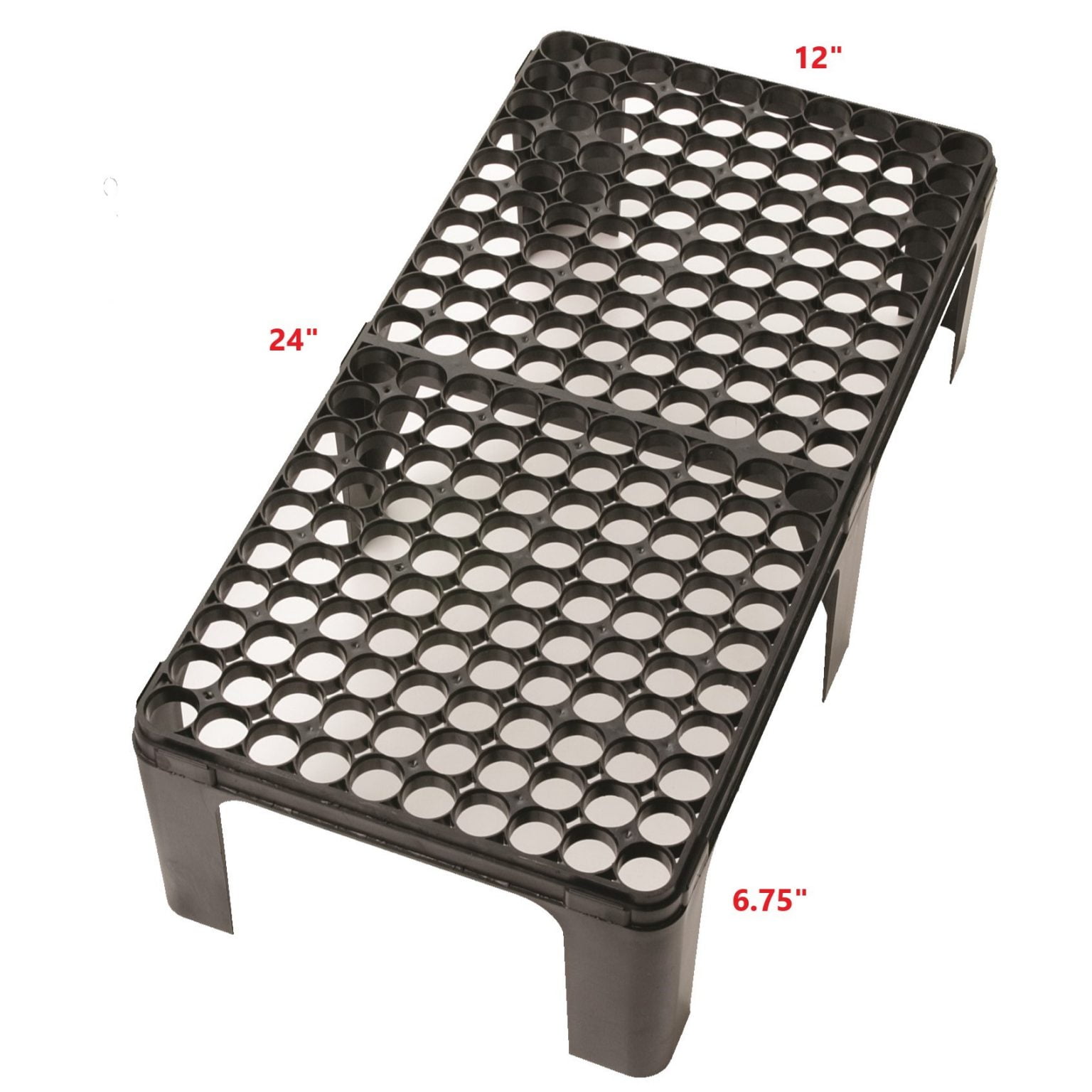 Ray Leach "Cone-tainers"™ & Trays - Stuewe & Sons