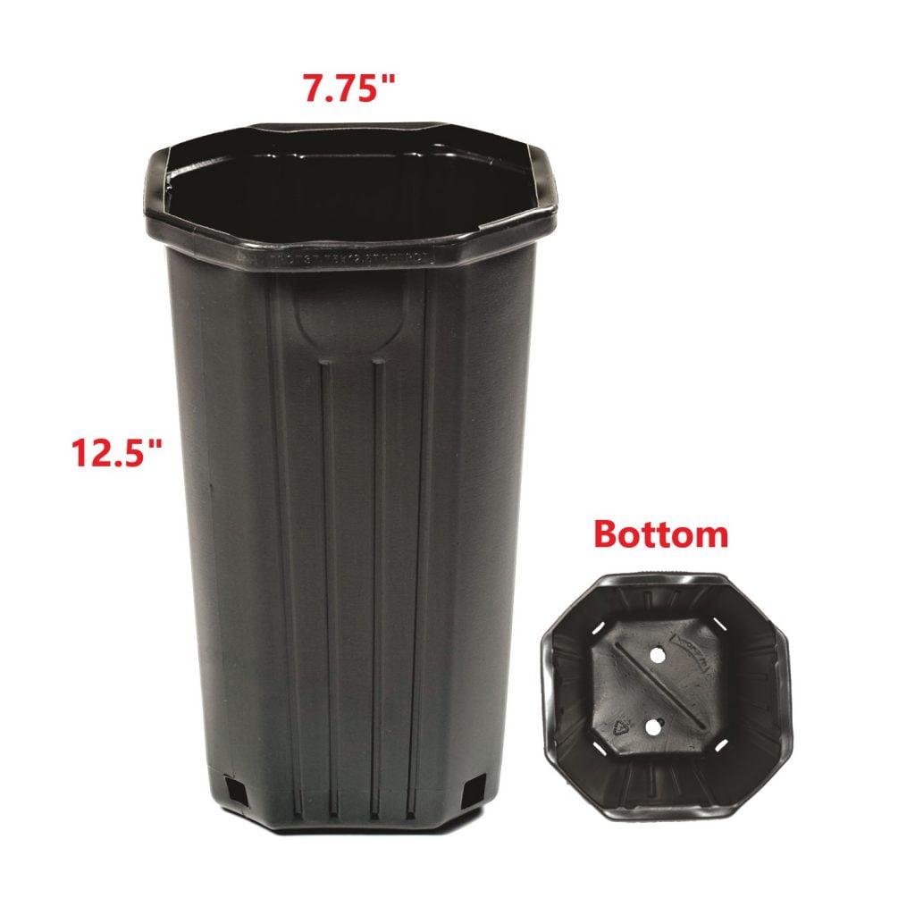 Treepots™ & Trays - Stuewe & Sons