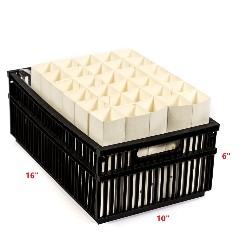 Zipset™ Plant Bands & Trays - Stuewe & Sons
