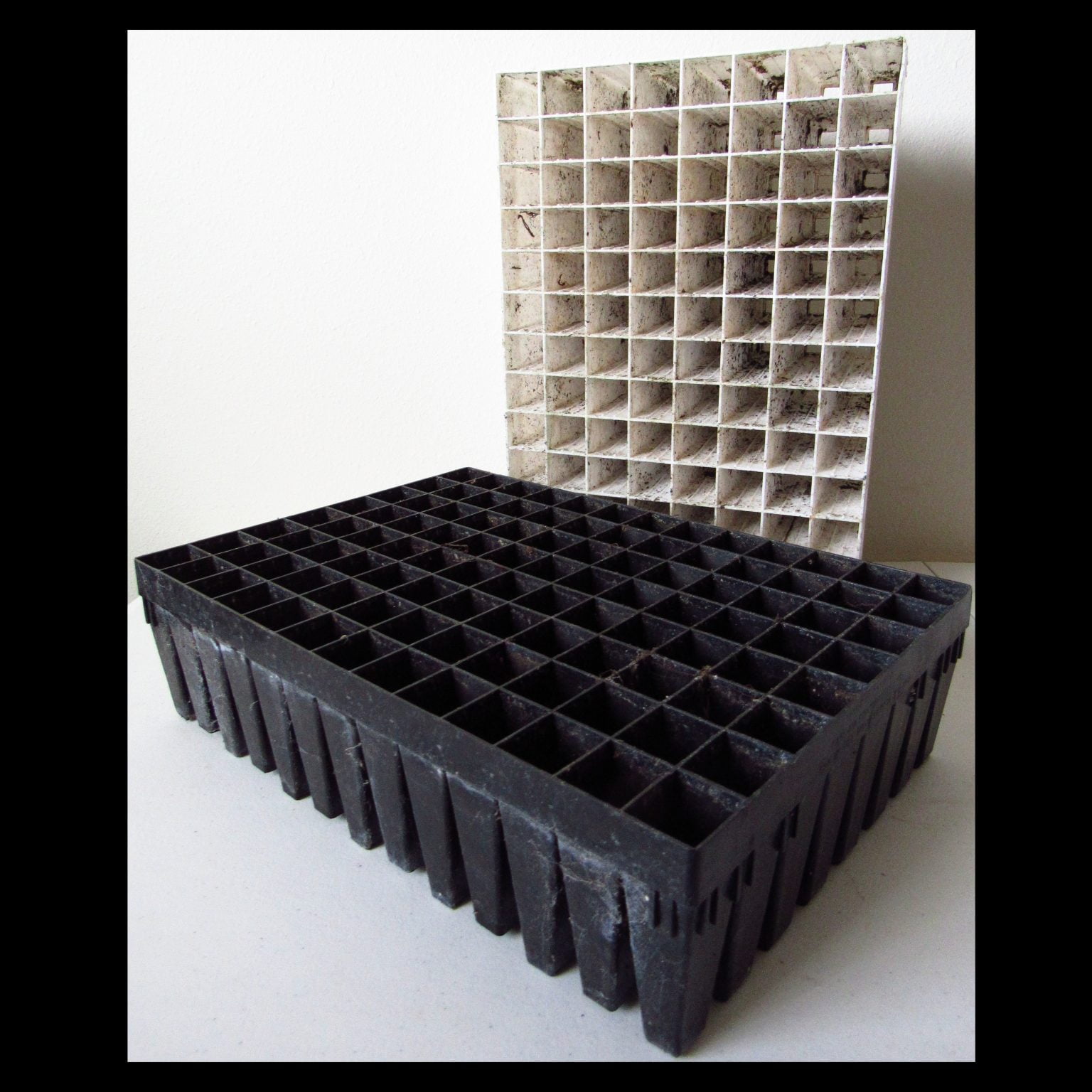 Tree Seedling Nursery Containers - Stuewe & Sons