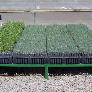 Ray Leach "Cone-tainers" & Trays Kits - RL98K10R - RL98 TRAY WITH SC10R ...