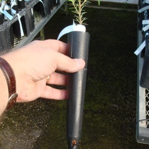 Ray Leach "Cone-tainers" & Trays Kits - RL98K10R - RL98 TRAY WITH SC10R ...