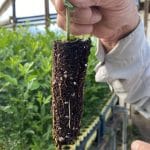 Ray Leach "Cone-tainers" & Trays Kits - RL98K7U - RL98 TRAY WITH SC7UV ...