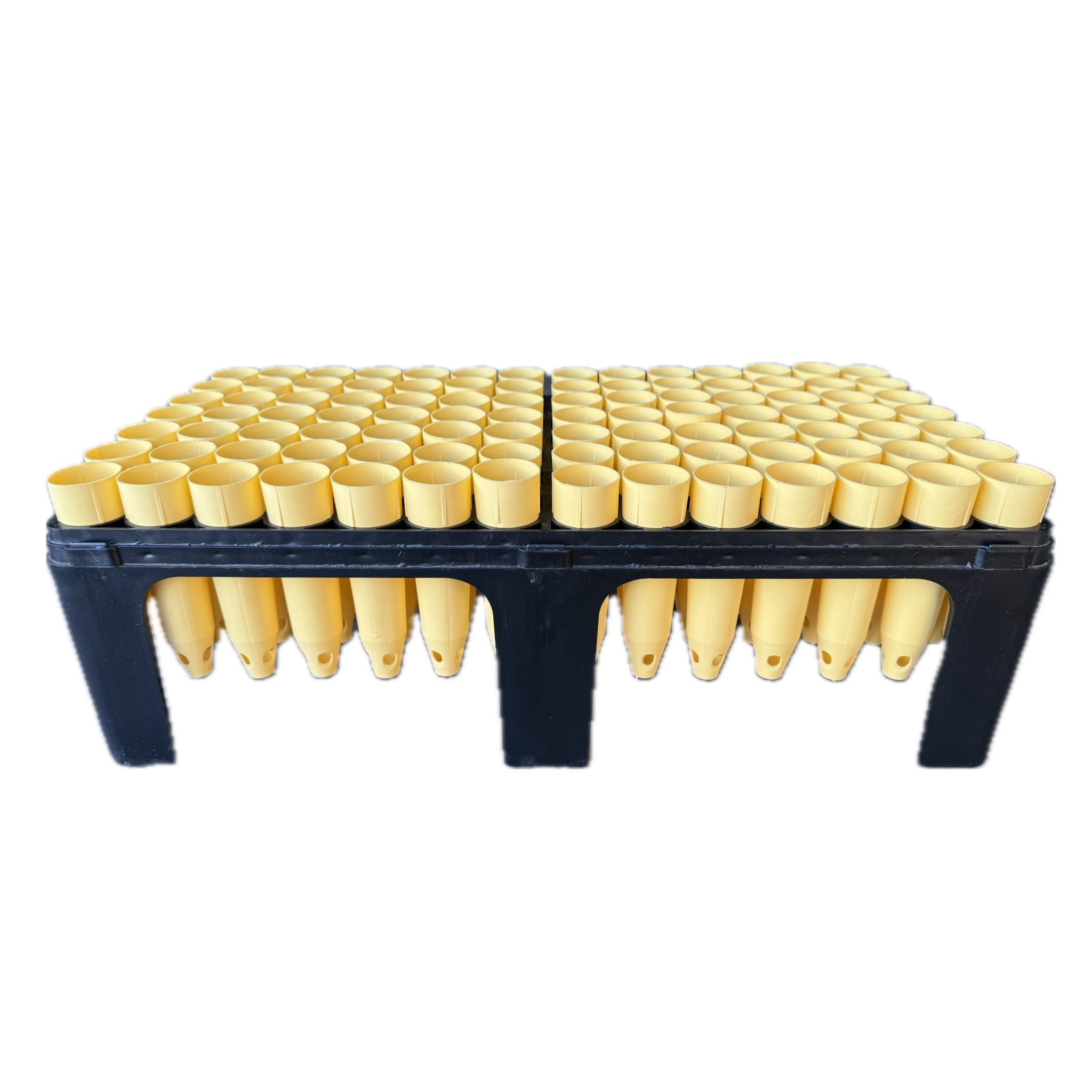 Ray Leach "Cone-tainers"™ & Trays - Stuewe & Sons