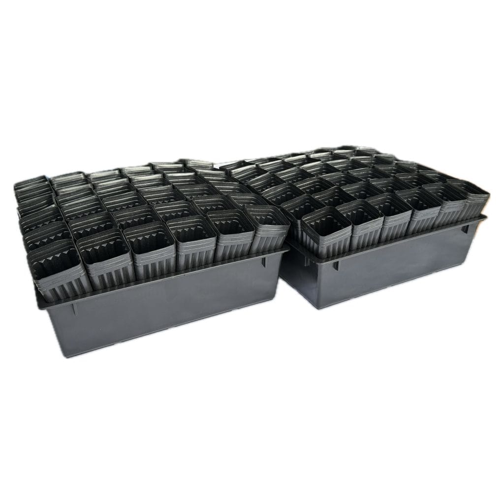 Mini-Treepots™ & Trays Kit - T5K297 - TRAY5 WITH MT297 KIT - Stuewe & Sons