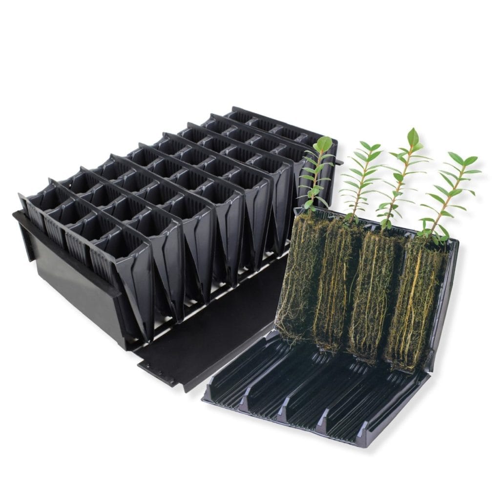 Tree Seedling Nursery Containers - Stuewe & Sons