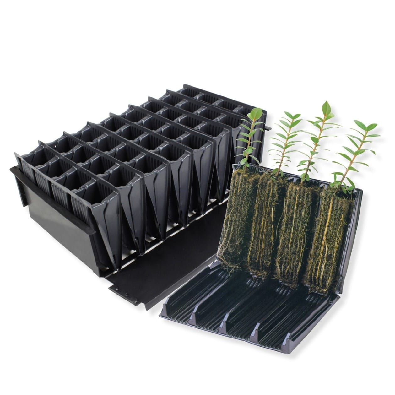 Tree Seedling Nursery Containers - Stuewe & Sons