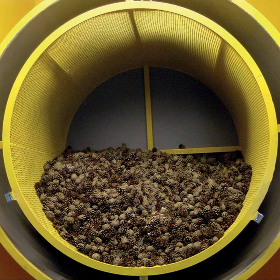 BCC Seed Processing Equipment - Stuewe & Sons